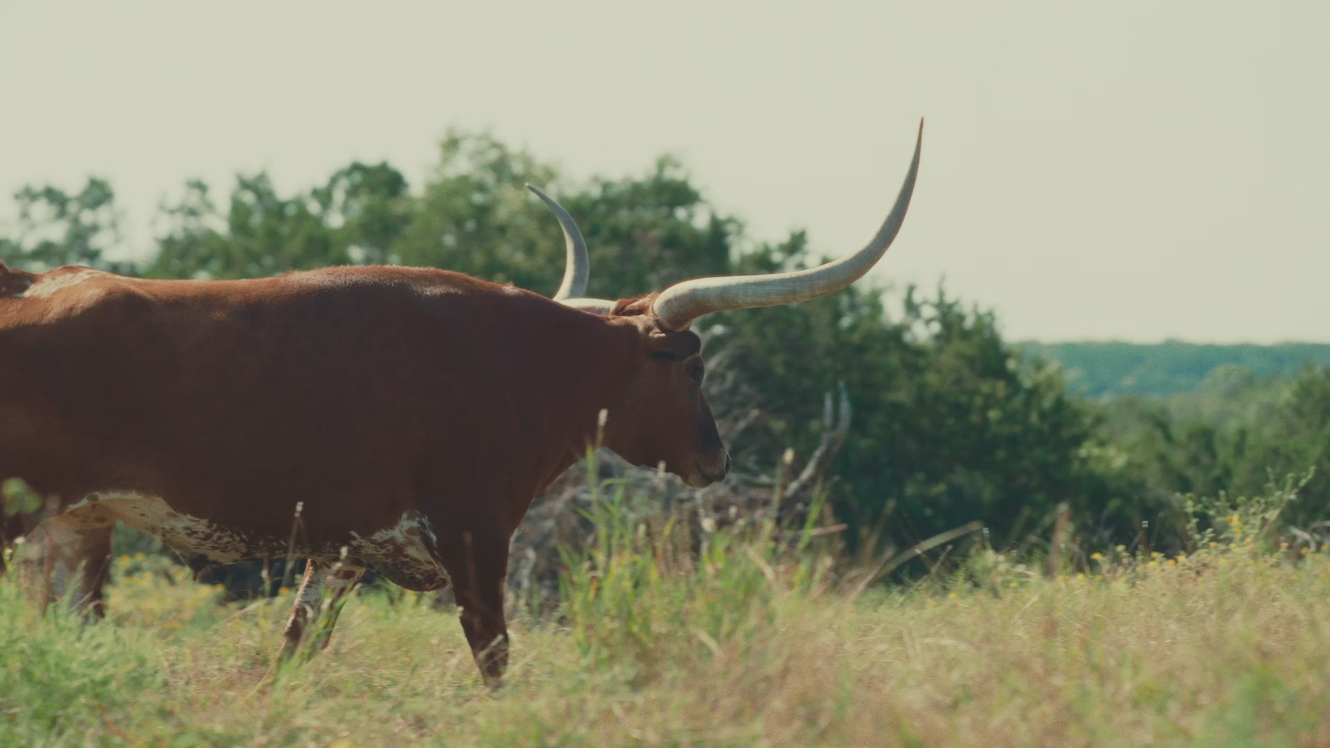 Mañana - For wherever tomorrow takes you